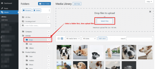 How To Organize Files In WordPress Media Library? | MakeWebBetter