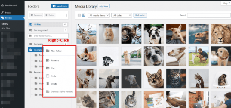 How To Organize Files In WordPress Media Library? | MakeWebBetter